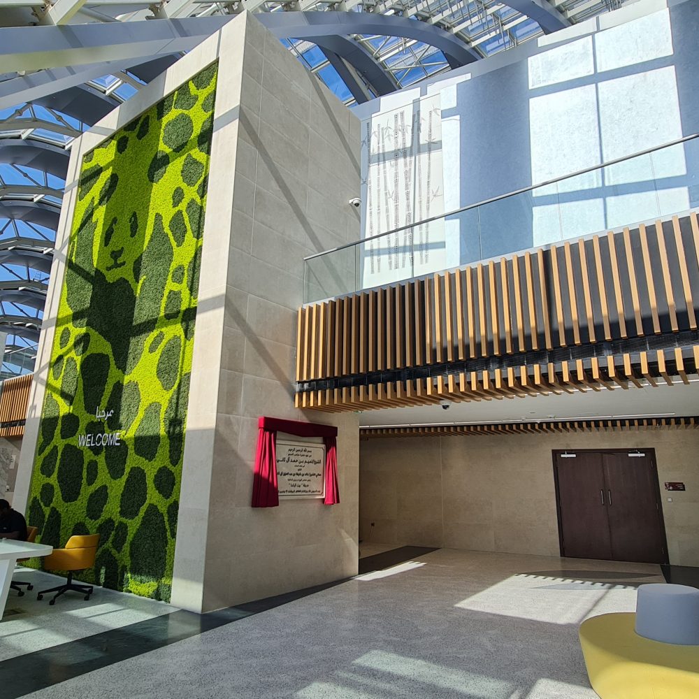 Projects – Ika Construction